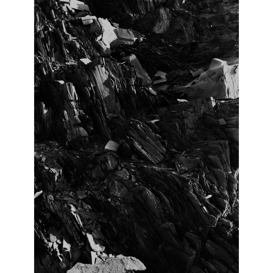 Applied Carbon Raises $21.5M to Deploy Biochar Technology that ...