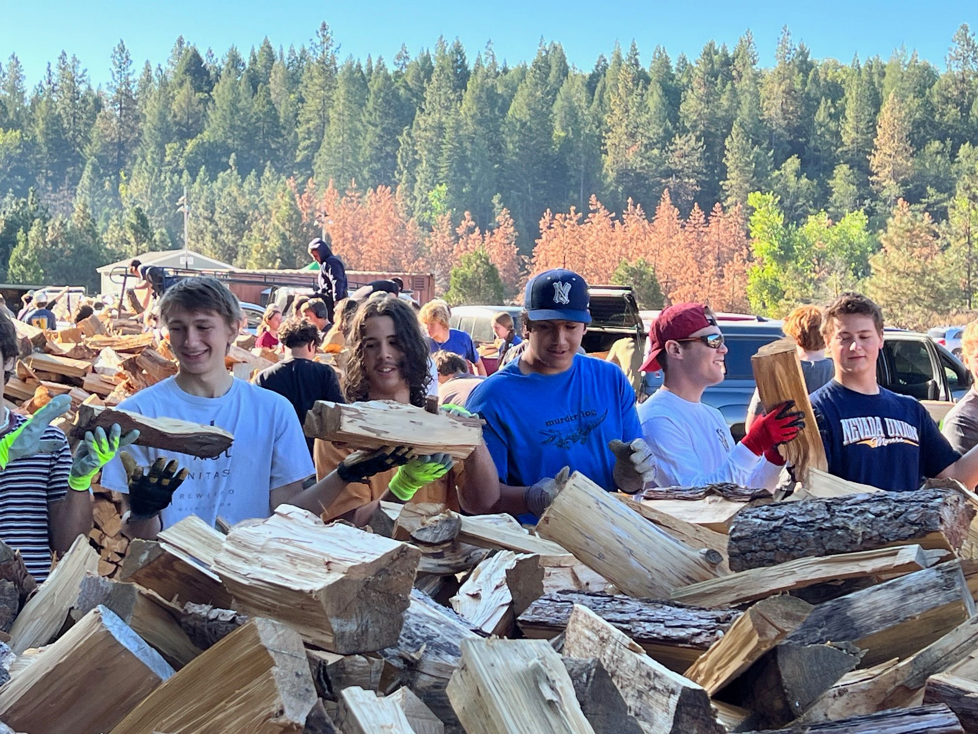 Alliance for Green Heat, US Forest Service partner to expand national network of firewood banks ...