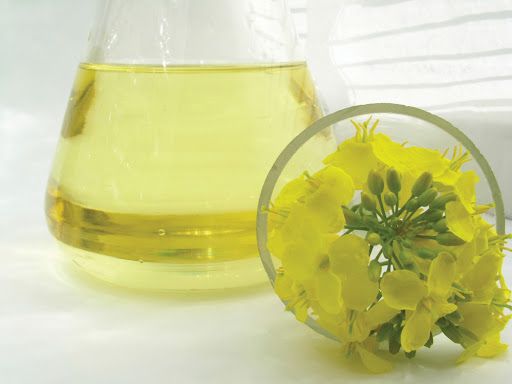 Canada introduces new biofuel production incentive in response to trade ...