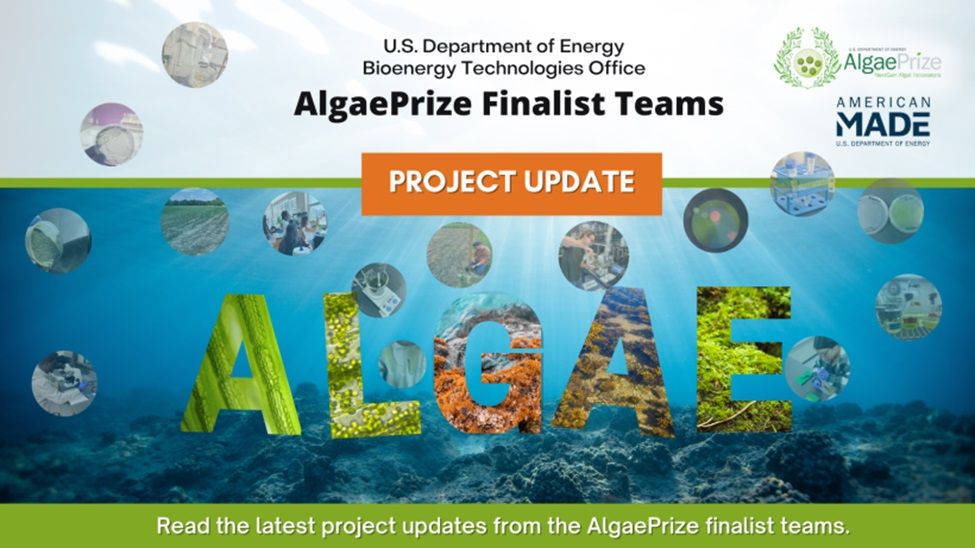 DOE: AlgaePrize finalist teams make great strides in projects to unlock ...
