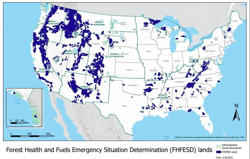 Rollins issues memo directing Forest Service to boost timber production ...