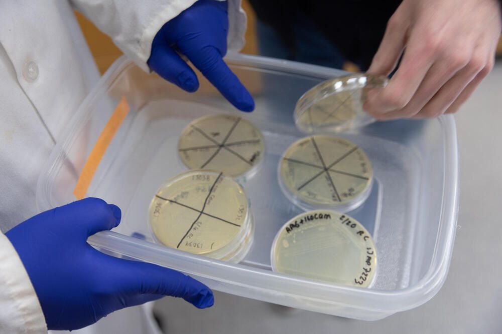 Genetic toolkits boost biofuel production | Biodiesel Magazine