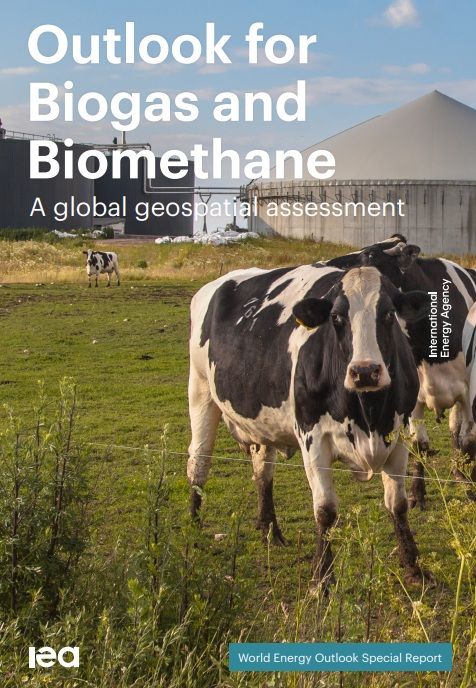 IEA report finds significant untapped potential for global biogas ...