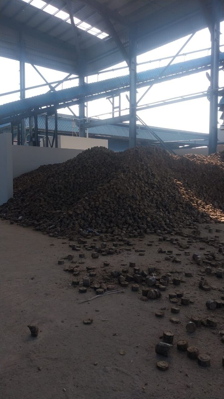 India-based pharmaceutical company replaces coal with biomass | Biomass ...