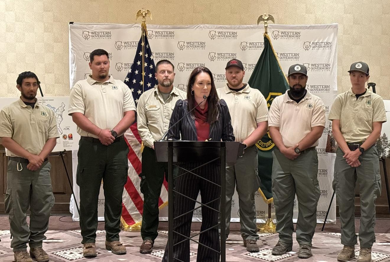 USDA to rescind US Forest Service’s 2001 Roadless Rule | Biomass Magazine