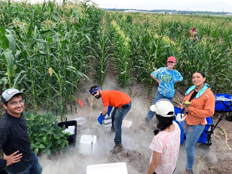 Corn’s Next Step Change | Ethanol Producer Magazine