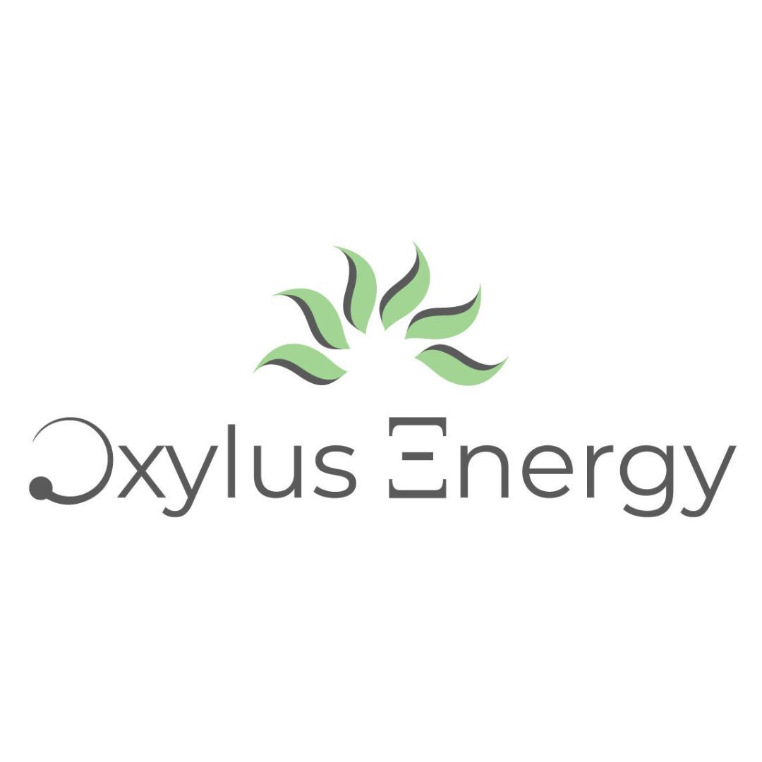 Caelus Energy Logo