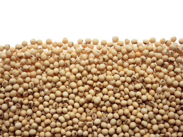 USDA: Old crop soybean stocks down 8% | Biomass Magazine