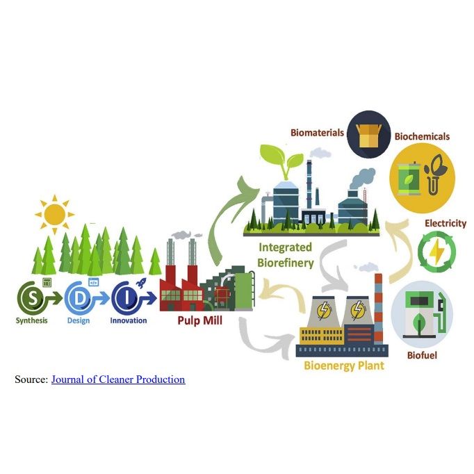 Report highlights surging value of US tall oil exports | Biomass Magazine