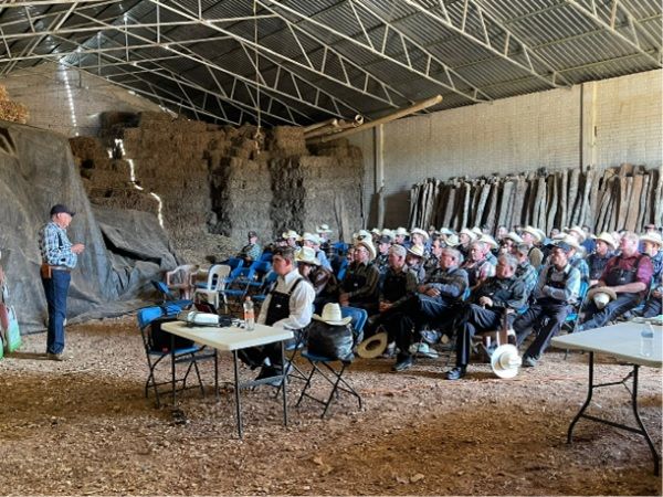 USGC’s feeding trials in southeast Mexico expand US DDGS | Biomass Magazine