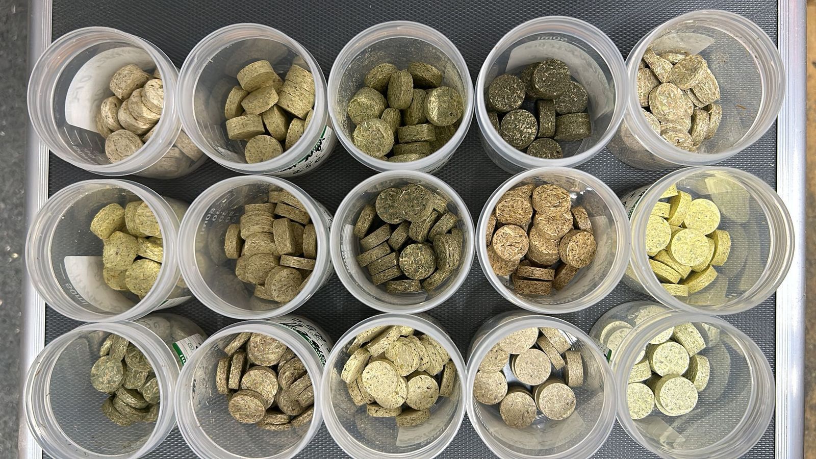 University of Queensland researchers assess the potential to convert ...