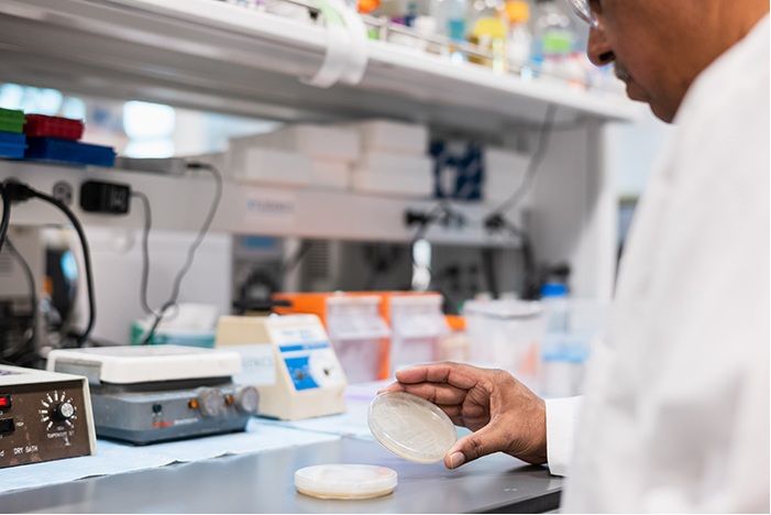 Xylogenics secures US patent for breakthrough yeast strain advancing ...