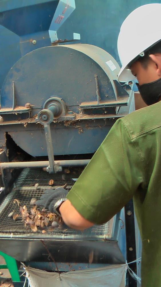 Jatoil announces jatropha oil production milestone | Biodiesel Magazine