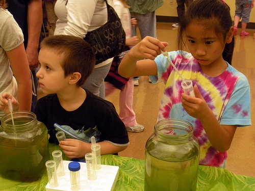 AlgaePalooza to kick off Backyard Biofuels project | Biodiesel Magazine