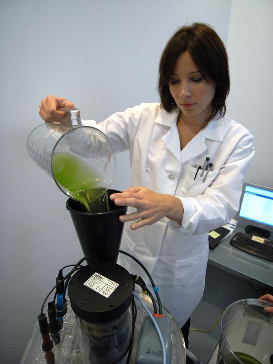 OriginOil optimizes algae extraction efficiency | Biodiesel Magazine