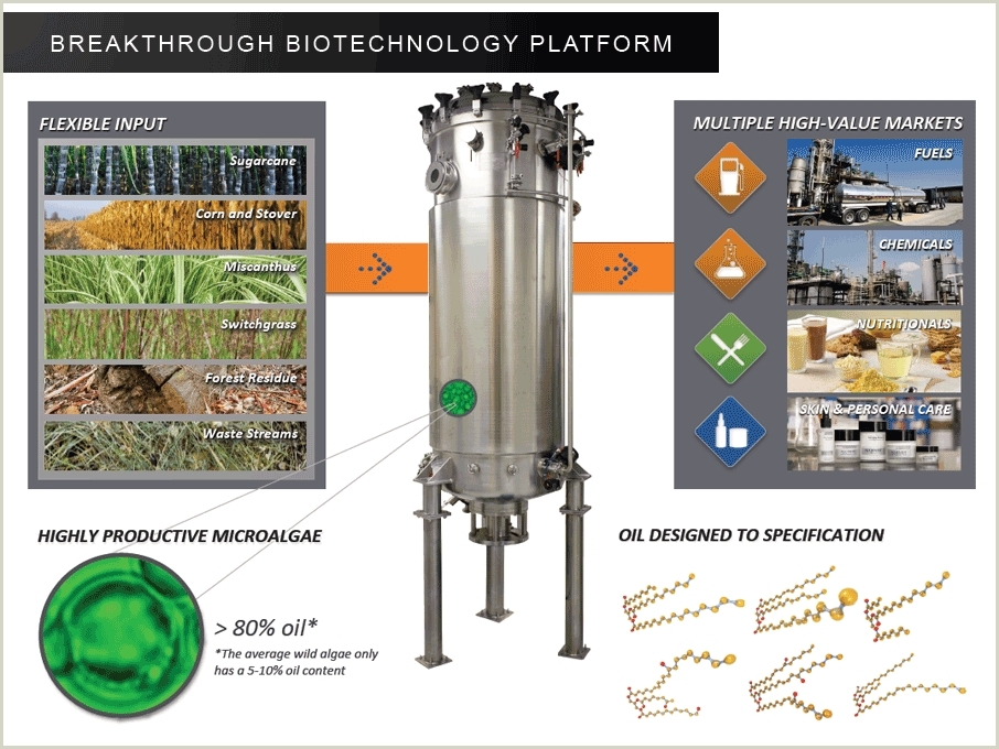 Solazyme, Bunge form JV for oil production facility in Brazil ...