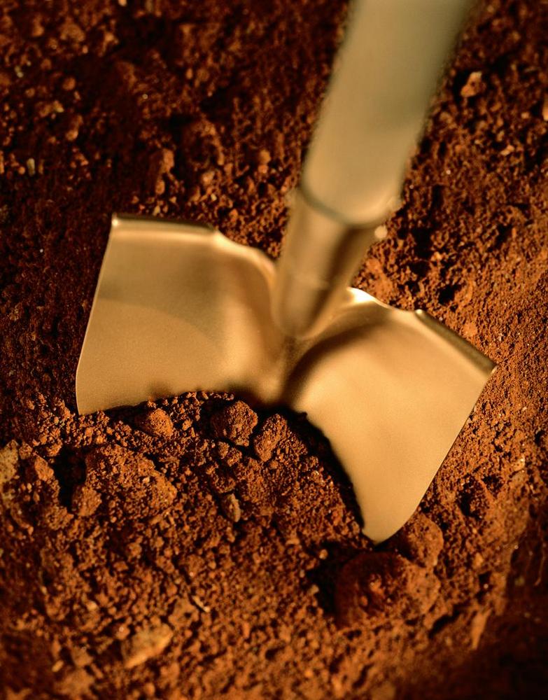 Solazyme, Bunge break ground on renewable oil facility in Brazil ...