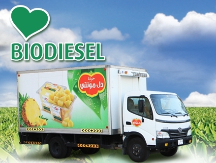 McDonald's UAE supplier Del Monte adopts biodiesel campaign | Biodiesel ...