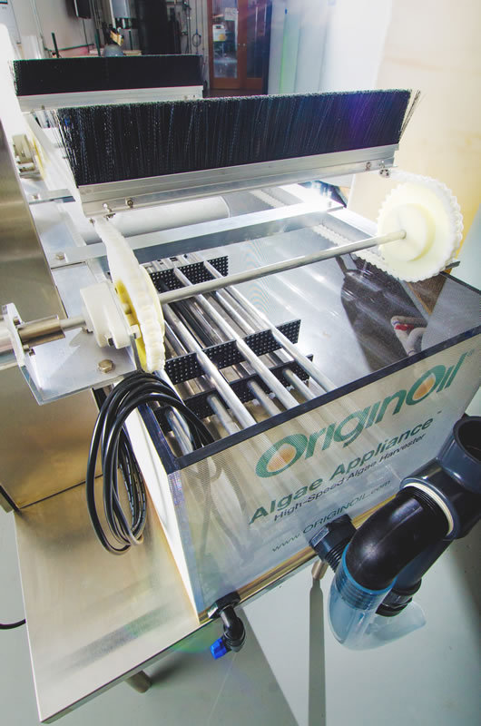 OriginOil, Catalina Sea Ranch to collaborate in research program ...