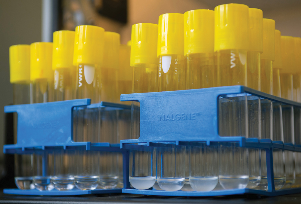 Engineered bacteria produces biobased rocket fuel alternative ...