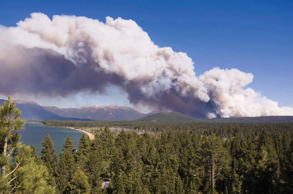 Fire Threat Turns Energy Asset | Biodiesel Magazine