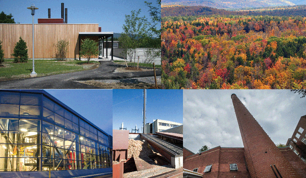Vermont's Wood Heat Renaissance | Biodiesel Magazine
