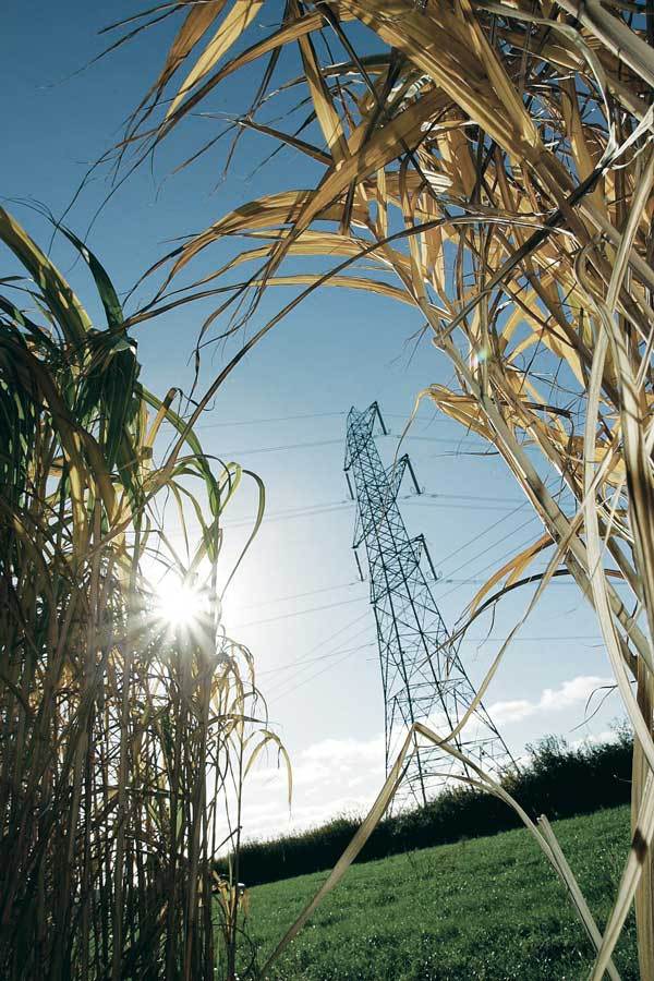 The UK's Conversion Diversion | Biodiesel Magazine