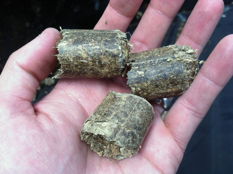 A Densified Decarbonization Strategy | Biomass Magazine