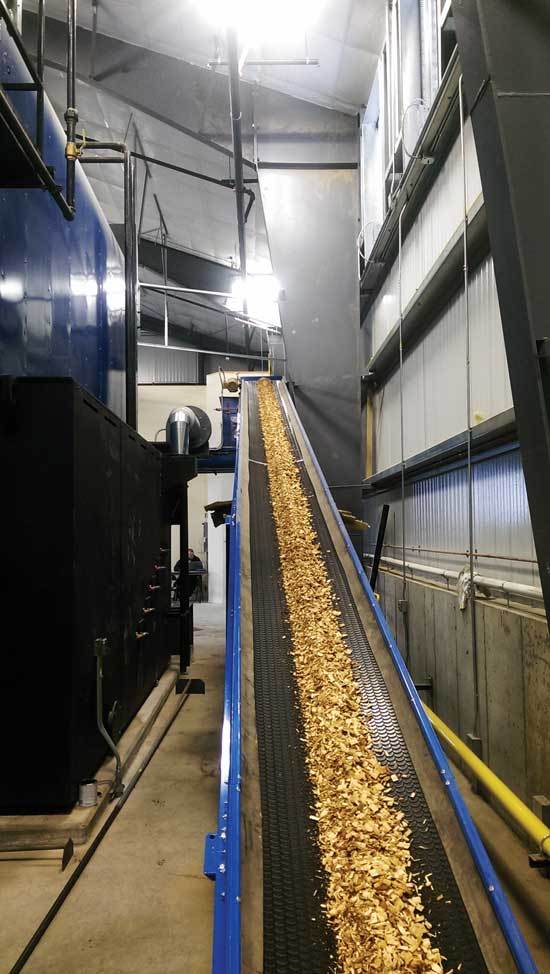 Passing the Test | Biomass Magazine