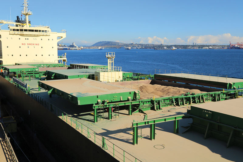 Sizing Them Up | Biodiesel Magazine