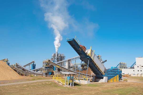 Wood Yard Wisdom | Biomass Magazine
