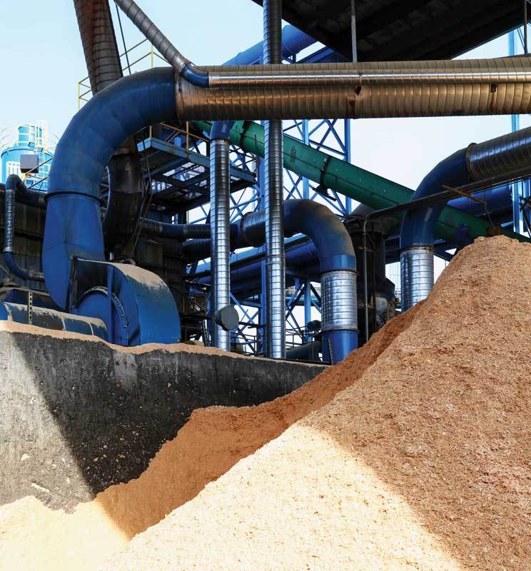 Fiber Factors | Biodiesel Magazine