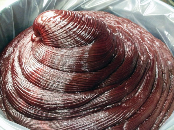 The High Cost of Low-grade Grease | Biomass Magazine