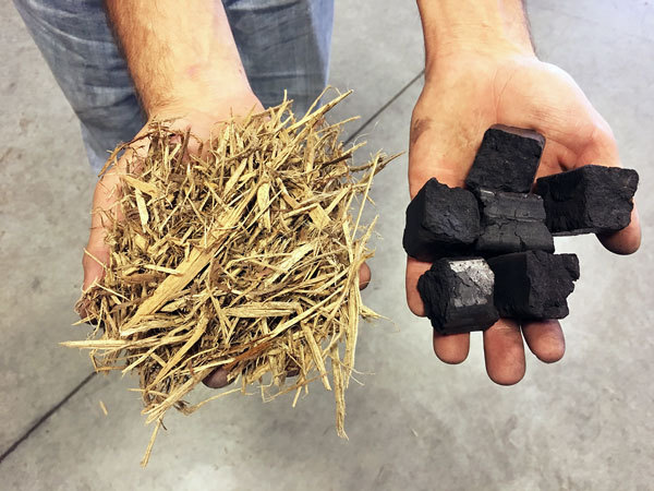 Biocoal Exports' Potential Role in US Forest Restoration and Japan's ...