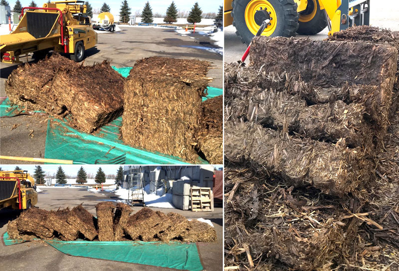 Feedstock Variability: Causes, Consequences and Mitigation of ...