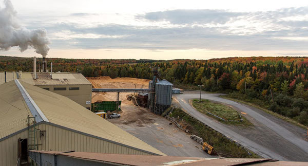 From the History Books | Biomass Magazine