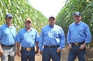 Oregon farmers begin first biomass sorghum harvest | Biodiesel Magazine