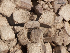 Renewafuel biomass cube production plant could shut down | Biomass Magazine