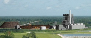 Grand opening held for 100-MW biomass facility in Florida | Biomass ...