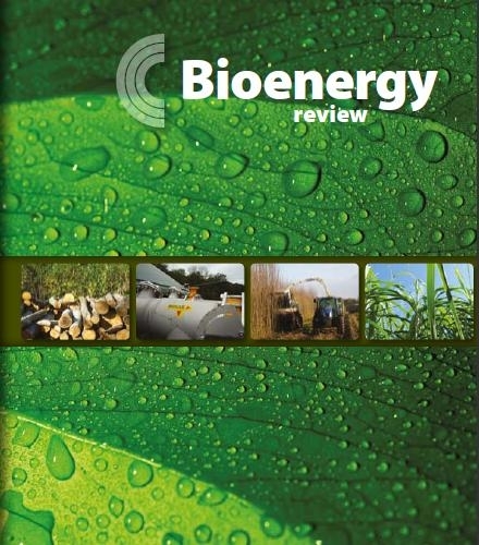Bioenergy Review: UK can't meet carbon goals without biomass ...