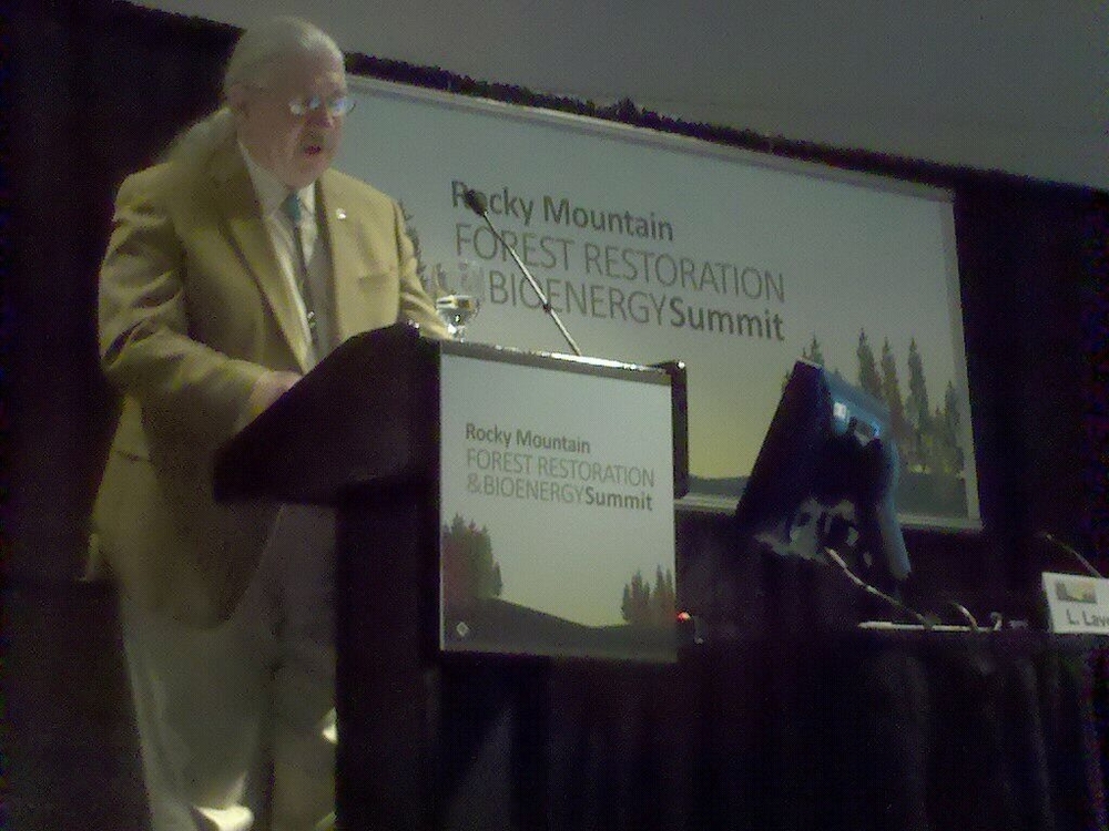 Summit keynote: let's turn a sow's ear into a silk purse | Biomass Magazine