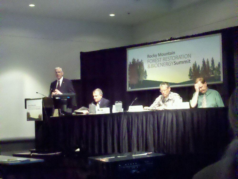 Forest restoration summit covers multiple topics | Biomass Magazine