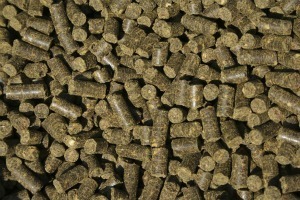 Green Circle Bio Energy to locate pellet plant in Miss. | Biomass Magazine