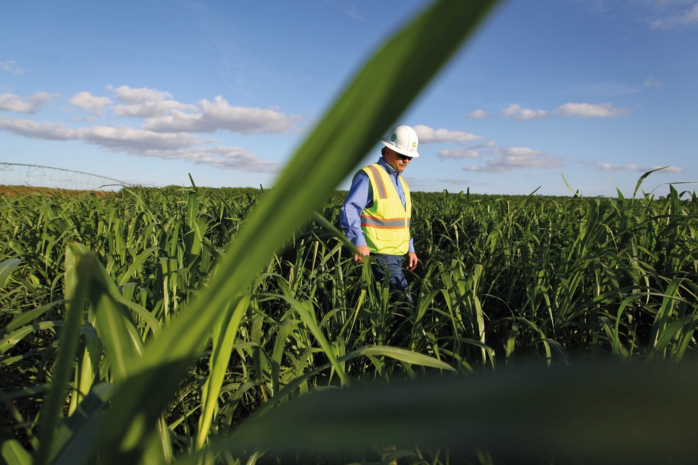BP sustainability report highlights biofuel projects | Biomass Magazine