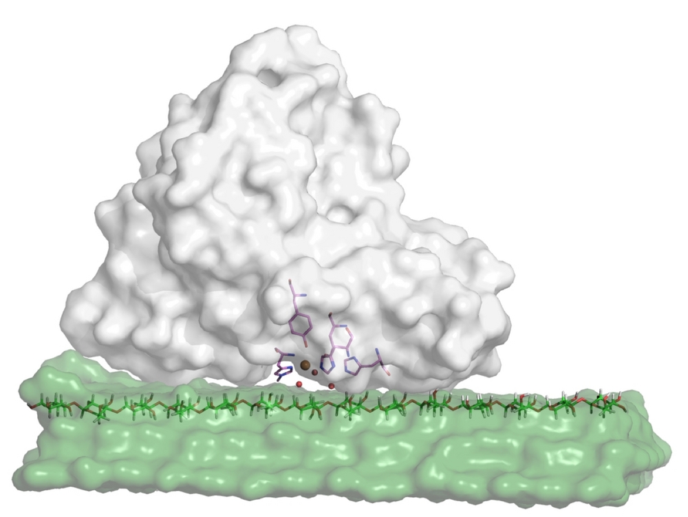 Researchers use supercomputer to improve catalysts for biofuel ...