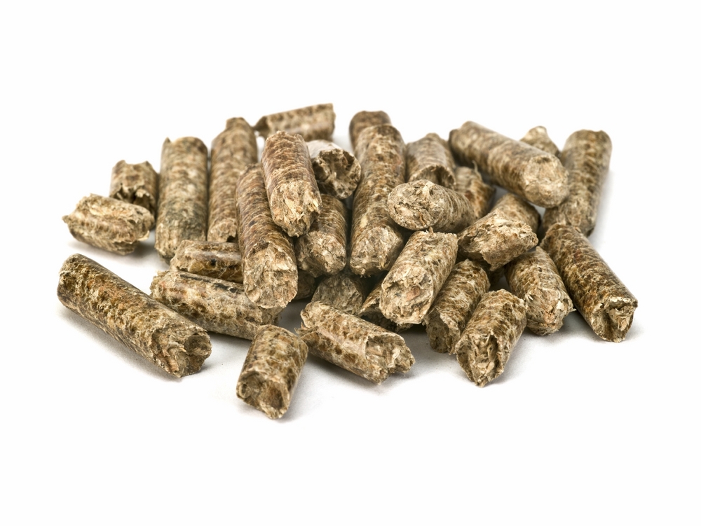 Canfor to add pellet production to 2 sawmill sites in Canada | Biomass ...