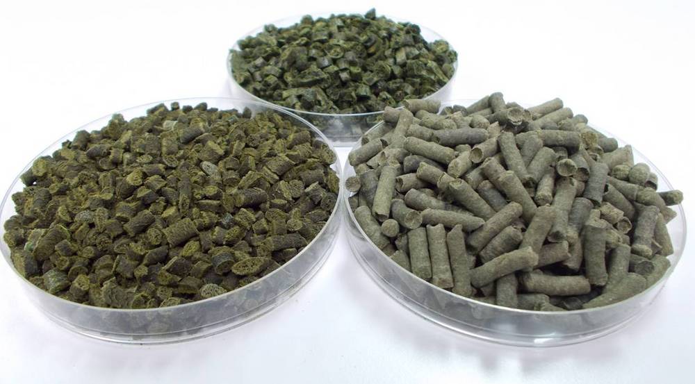 Algix holds grand opening for Solaplast facility in Mississippi ...