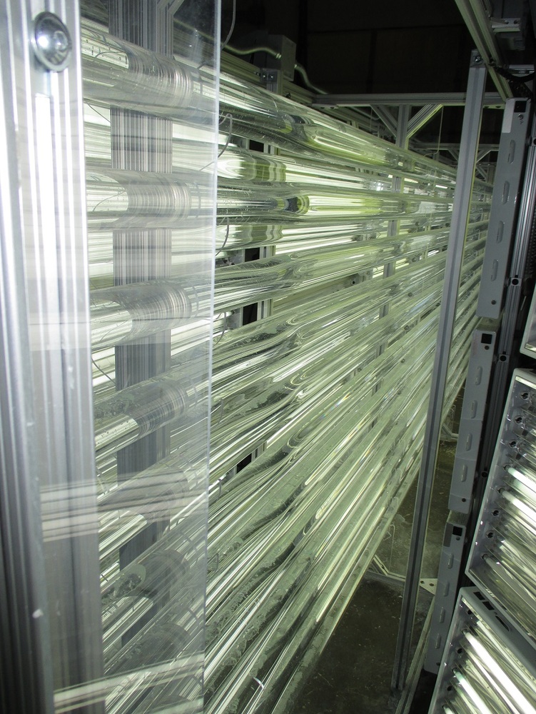 Schott oval glass tubes boost algae output | Biodiesel Magazine
