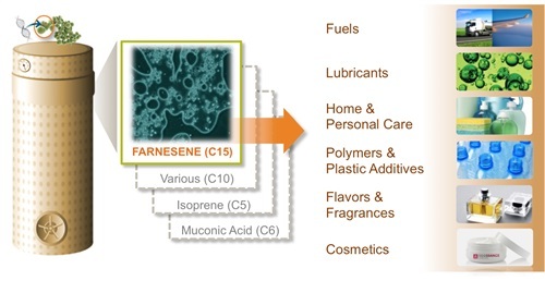 Amyris, Total proceed with jet fuel JV, restructuring plans | Biomass ...