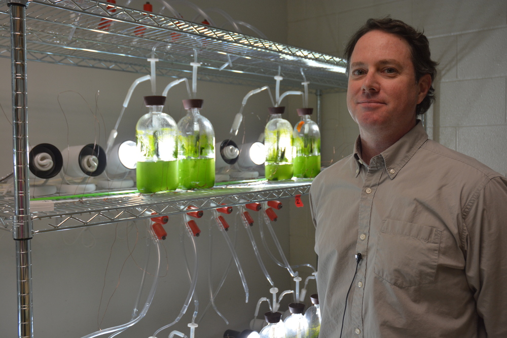 Scientists discover an enzyme responsible for making hydrocarbons ...